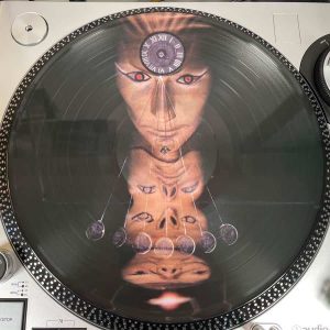 What Is A Picture Disc Vinyl? Picture Disc Records Sound Worse? – Vinyl ...